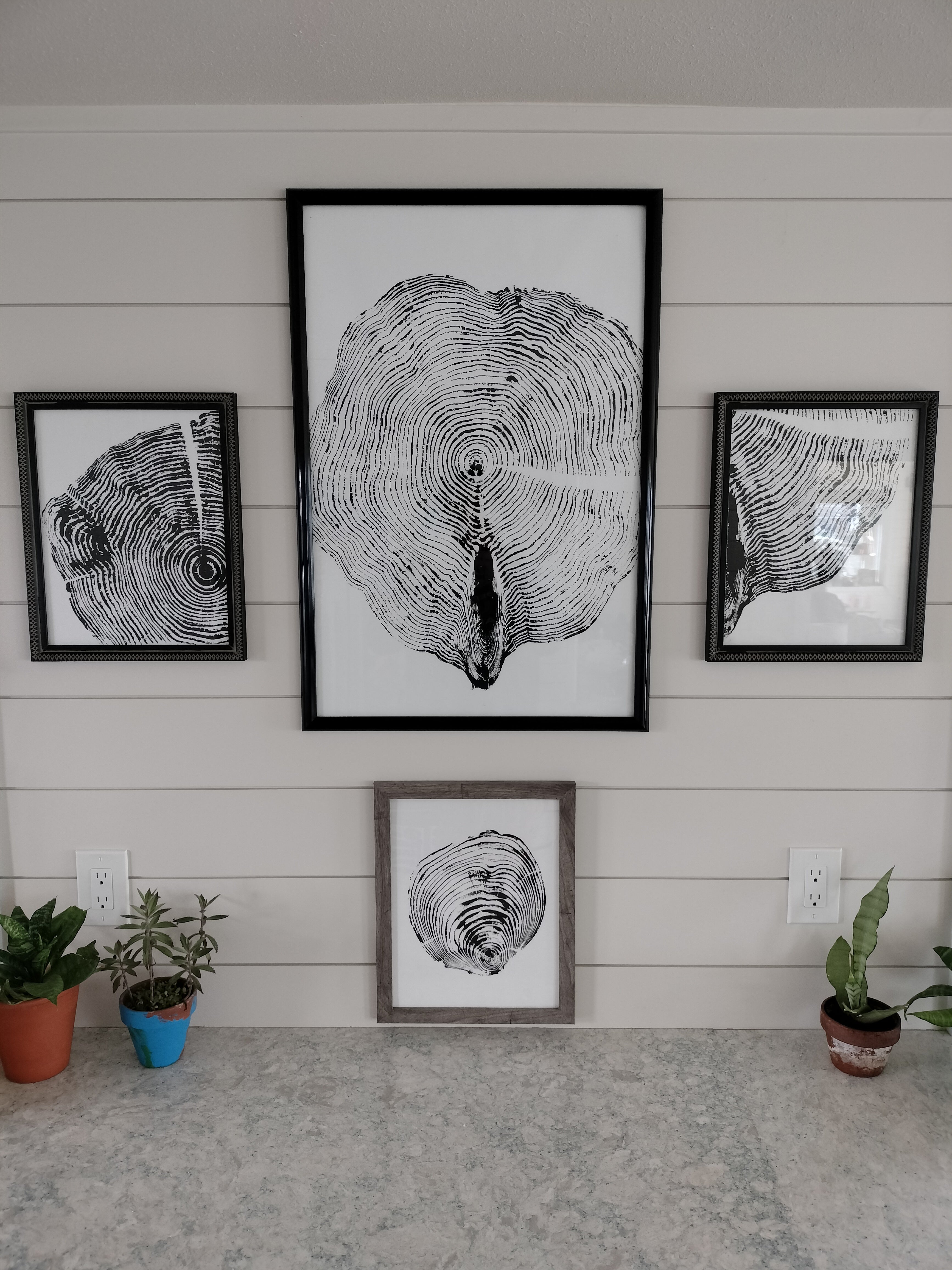 Timber Prints - Limited Edition – Wood Built